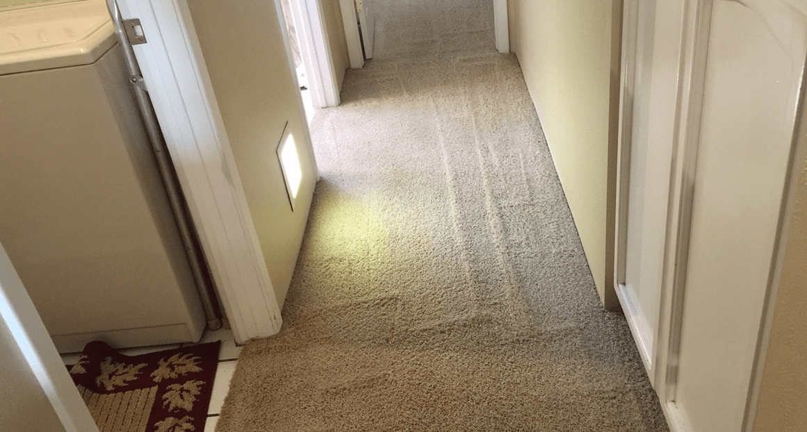 Scottsdale Carpet Repair | Don't Replace it Repair it!