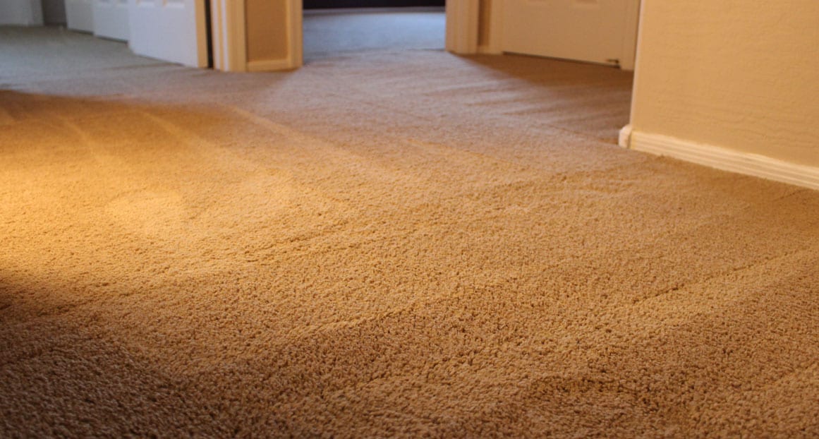 Scottsdale Carpet Repair | Don't Replace it Repair it!
